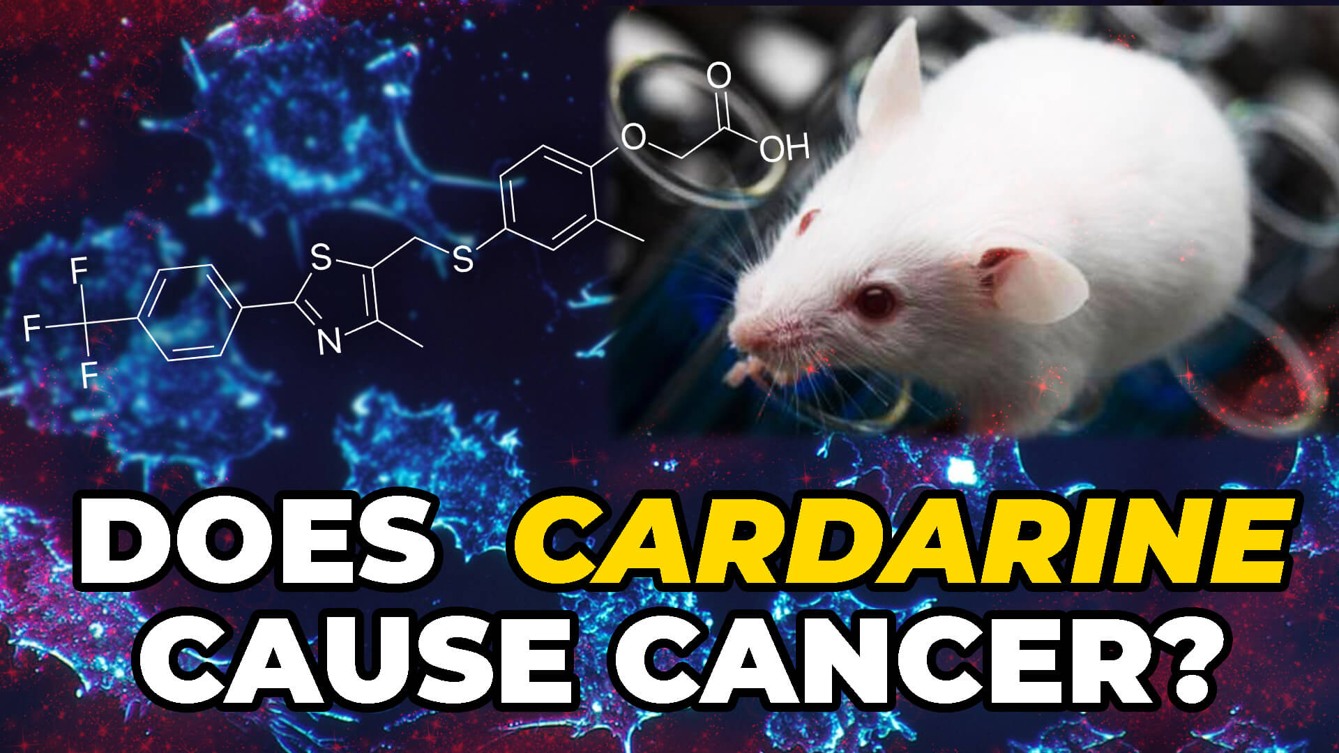 Does Cardarine Cause Cancer? | The Human Equivalent Dose
