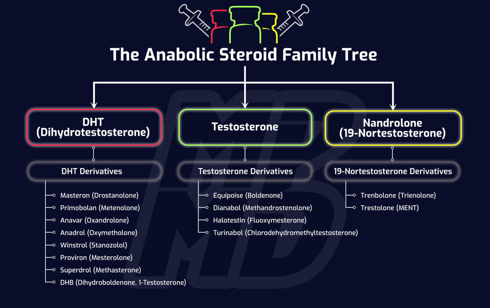 The Anabolic Steroid Family Tree Simplifying How Different Steroids Work