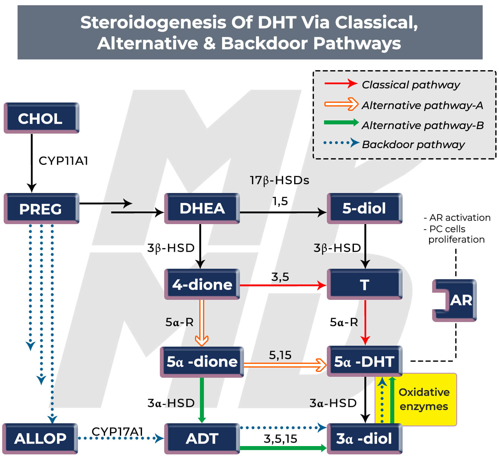 Deca Only For HRT - A Comprehensive Overview And My Personal Blood Work ...
